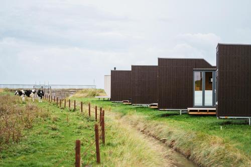 Tiny House Nature 3 Zur Kuhweide - Green Tiny Village Harlesiel - Wangerland