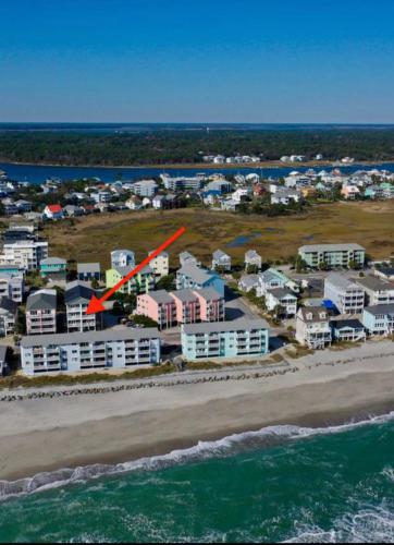 Swanky Seahorse - Carolina Beach, NC