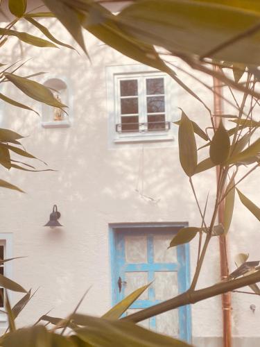Alte Muhle Maising - Starnberg