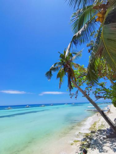 Top 10 Beach Resorts In Calape, Philippines | Trip101