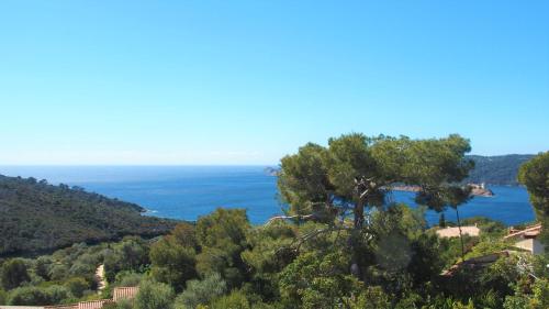 La Roche Aux Mouettes Ile Du Levant - Hyères
