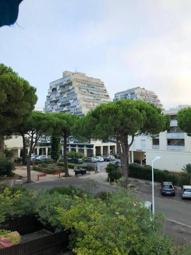 Studio Parking Prive Climatisation Plage Proche - La Grande-Motte