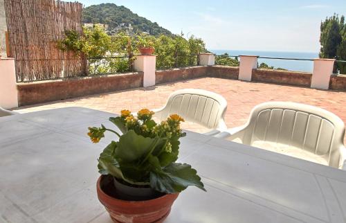 La Terrazza Sul Blu Di Capri - Capri