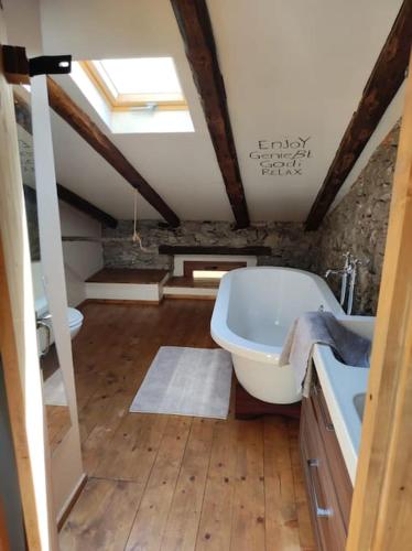 Casa Di Volce - 1801 Stone House - Tolmin