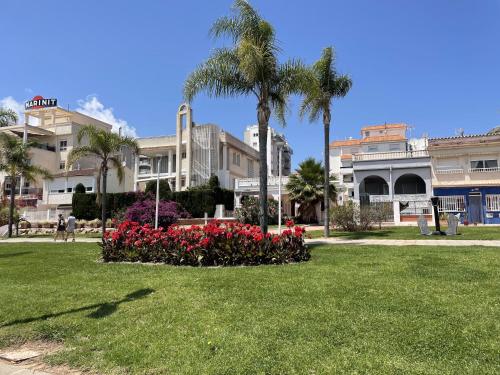 Paraiso Nacarado Gandia Grau - Gandía