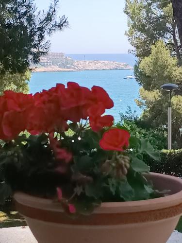 Beach & Flowers Free Parking - Salou