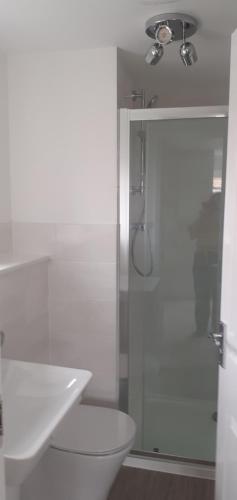 Beautiful En-suite Room Near Ascot - Hampshire