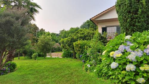 Casa "Pinho" Com Jacuzi! - São Pedro do Sul