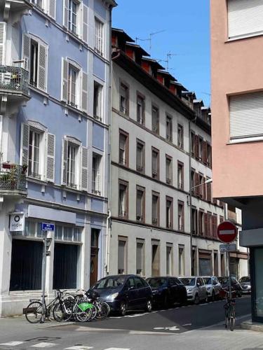 Charmant Duplex Privatise, Climatise, 2 Chambres - Strassburg