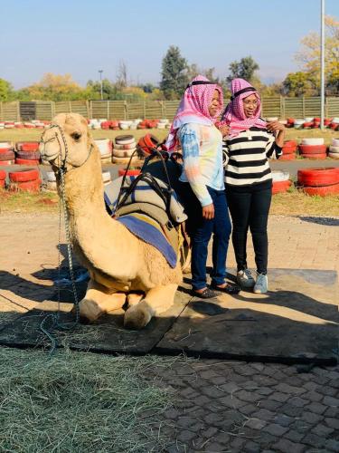 Ten Flags Theme Park in Kroondal, South Africa - reviews, prices ...