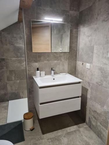 Appartement Proche Aeroport Bale/mulhouse - Blotzheim