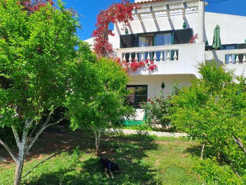 Av Fonte Coberta, Lagos, Villa Fonte Coberta - Lagos