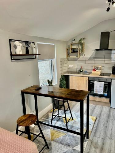 Dvm Escape Flat 2 - Bristol
