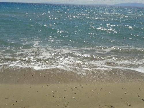 Mouses-x - Halkidiki