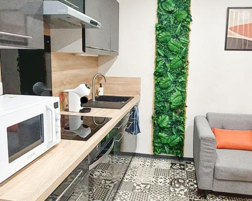 Artgrey * Ideal Pro * Roanne Secteur Gare Et Rue Pietonnes - Roanne