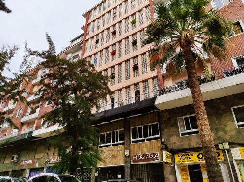 Apartamentos Carrillo 6 - Santa Cruz de Tenerife