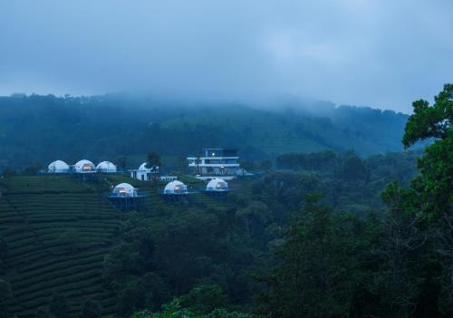 Monticle Glamps - Vagamon