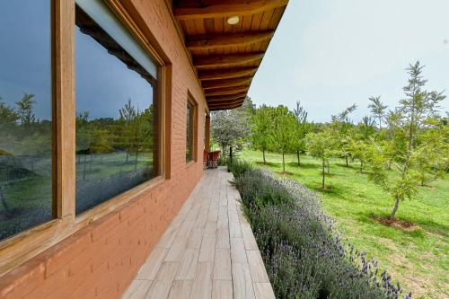 Acogedora Cabana En El Bosque Tlapalpa - Sayula