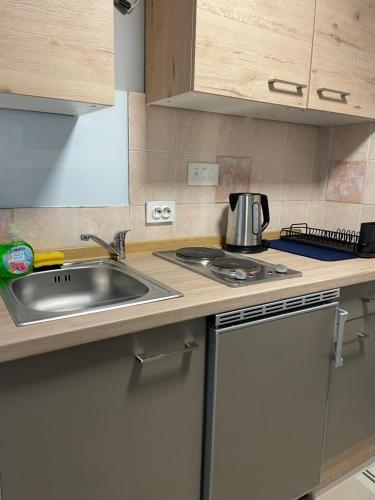 Aspen Studio Apartment + Free Parking - Ljubljana