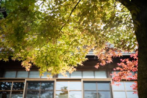 草木ももとせ - 秋田県