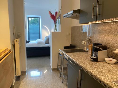 Stilvolles, Neues Apartment Mit Balkon In Bamberg Im 1ten Obergeschoss - Bamberg