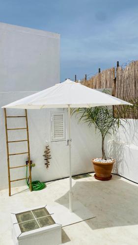 Casa Amanda - Faro