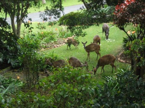 Glen House - Knysna