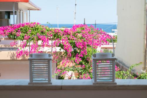 Elmar Junior - Луца