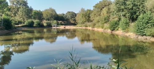 Gite La Petite Gilardiere - Mayenne