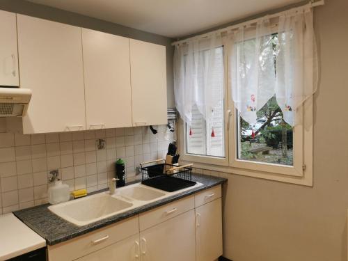 Appartement Meubles A Villeurbanne Lyon - Villeurbanne