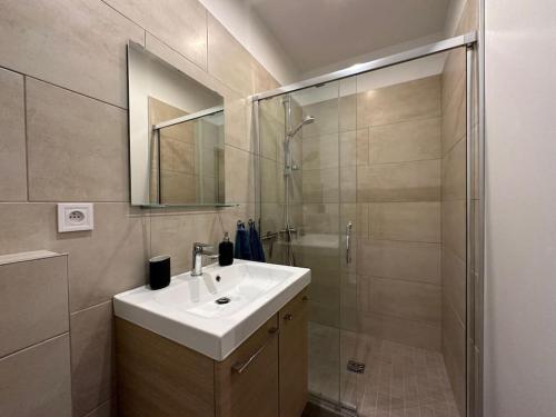 1 Appartement Ou Chambres Privees En Centre Ville Choisissez Une Option - Bonneville