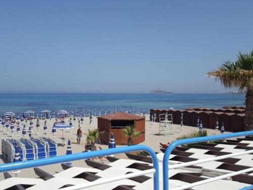 New Island - Isola delle Femmine