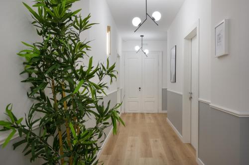 Trieste Timeless 2-bedrooms Flat - Trieste