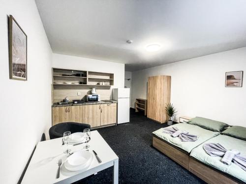 Apartmany Plzen Zborovska 22 A - Pilsen
