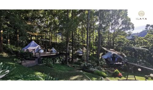 11 Best Hotels in Silay City, Philippines