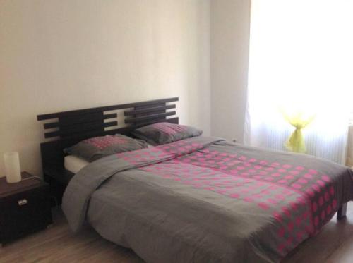Agreable F3 - Rdc (2 Chambres) - Mulhouse
