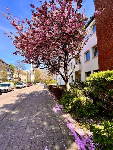 Stylish, Cozy & Quiet Apartment With One And Half Rooms In District 1 - Düsseldorf