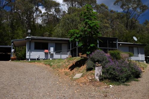 Mirra Minga - Eildon