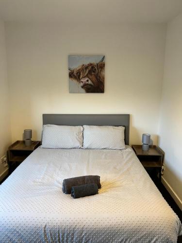The Heilan' Coo Apartment - Loch Lomond