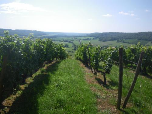 Chambre Triple Du Grand Sapin - Haute-Marne