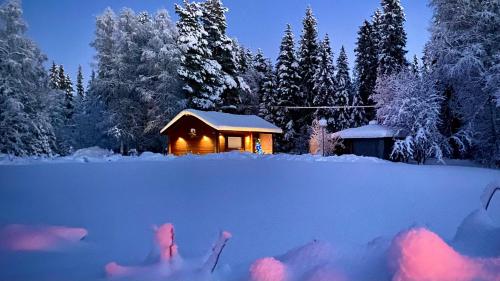 Lapin Paradise - Rovaniemi