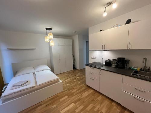 New Business Apartment Nr.15 - Dresden