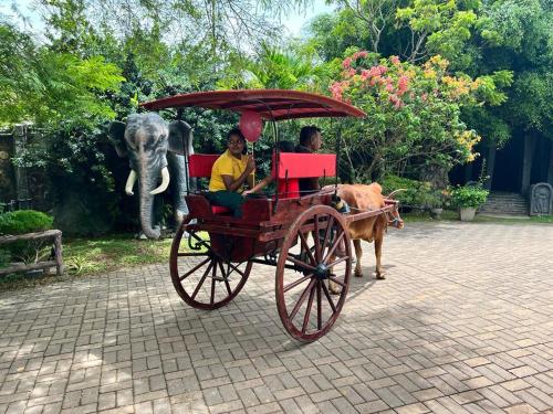 Hotel Royal Grand Paradise - Kelaniya, Sri Lanka - Updated 2026: Hotel ...