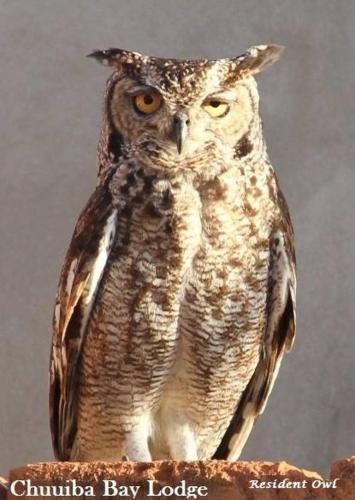 9 Best Dive Resorts In Mozambique | Trip101