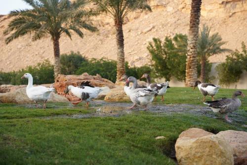 Obeir Resident Hotel - فندق اوبير السكني in Riyadh, Saudi Arabia ...