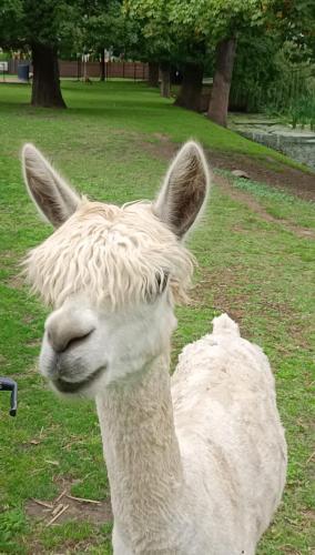 Centrum Edukacyjno-rozwojowe Wroclaw Pawlowice - Bezplatny Parking - Wrocław