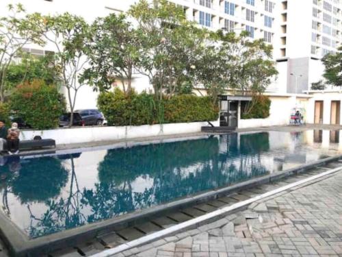 Pleasant6tifolia - Jakarta