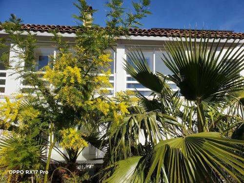 Lavocette Maison Appartement - Agde