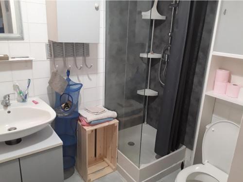 Grand Studio Sur Jardin Nantes Beaujoire B - Nantes