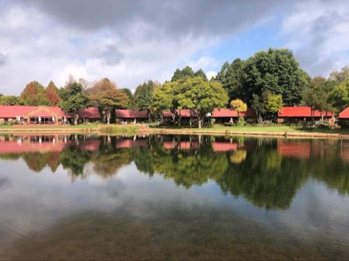 Critchley Hackle Lodge - Dullstroom